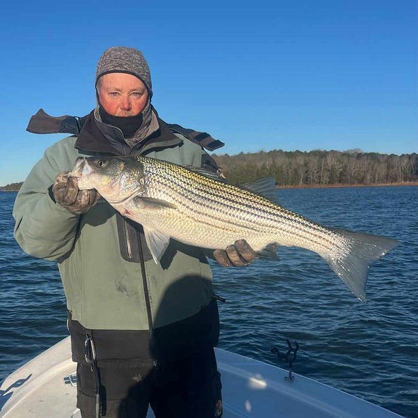 AHQ INSIDER Lake Russell (GA/SC) 2026 Week 2 Fishing Report – Updated ...