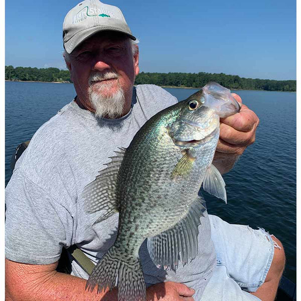 AHQ INSIDER Lake Wateree (SC) 2023 Week 30 Fishing Report – Updated Ju ...